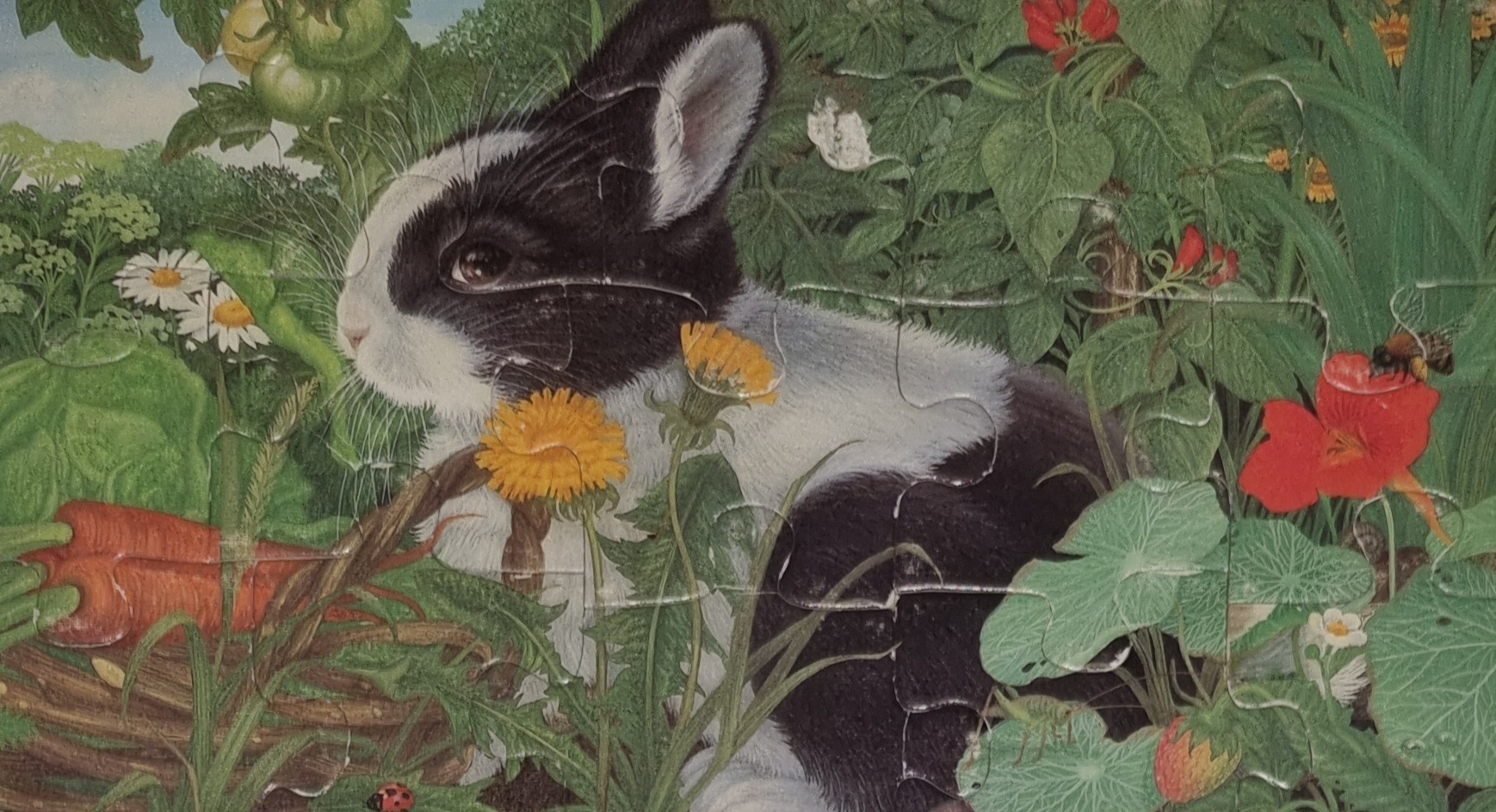 Ravensburger Das Kaninchen No. 063406